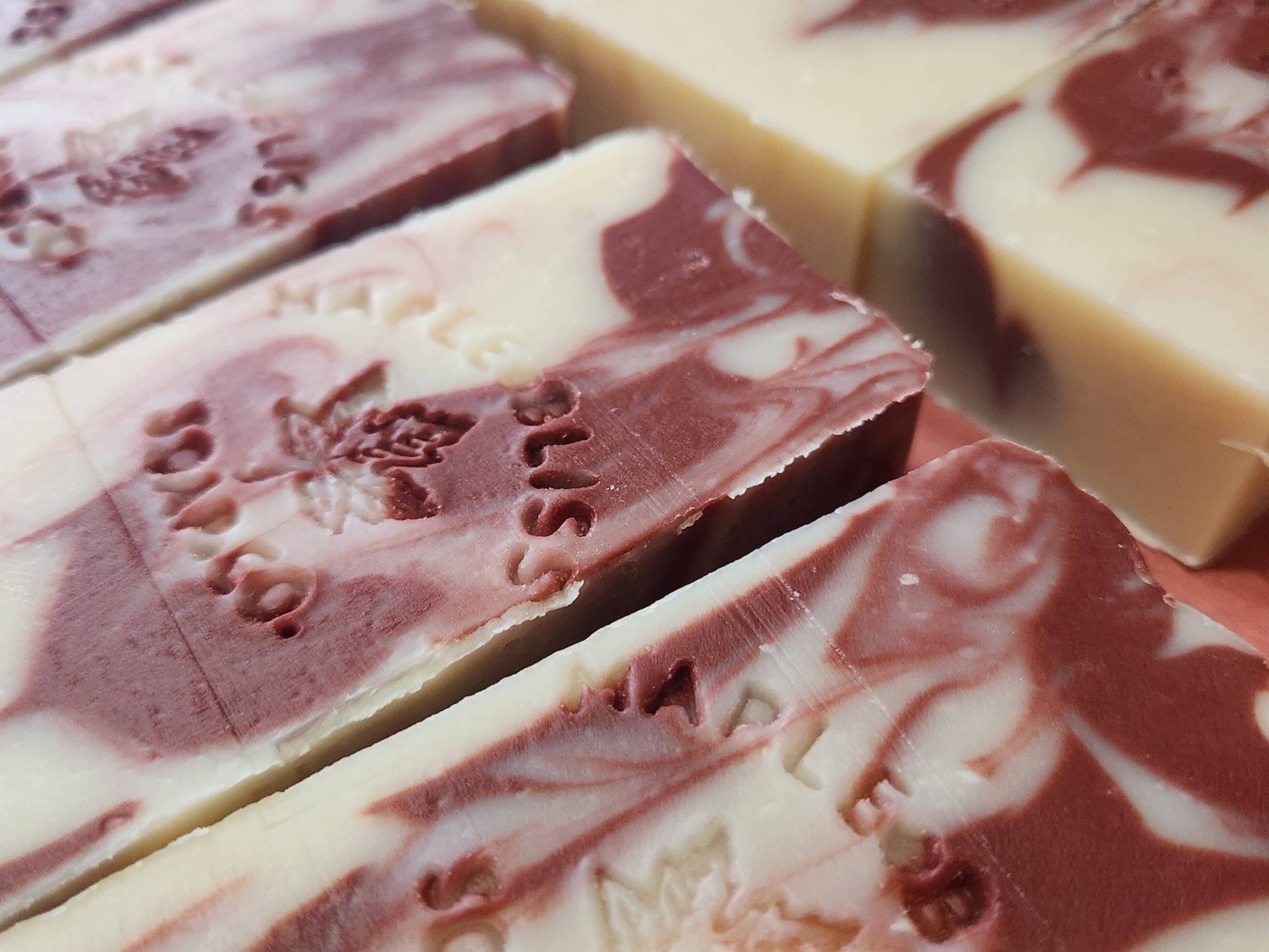 Home About Shop All Blogs F.A.Q.'S Contact Us Upcoming Events More